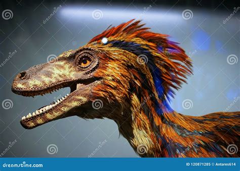 Winged Dinosaur Bird Editorial Image Image Of Feathered 120871285