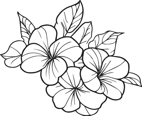 Sketch Of Flower For Colouring