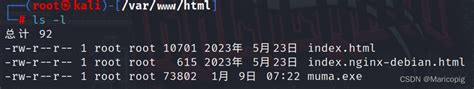 复现 使用kali生成木马，渗透windows系统 kali渗透win10 csdn博客