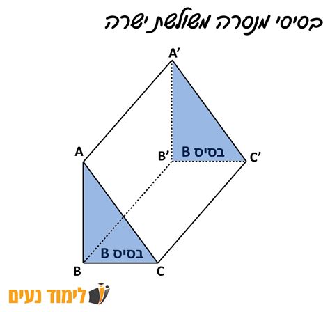 בסיסי מנסרה משולשת ישרה לימוד נעים