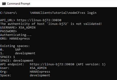 Create A Cloud Foundry Or Xs Advanced App That Queries Sap Hana Sap
