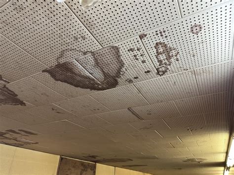 Potential Asbestos Ceiling Tiles R Asbestoshelp