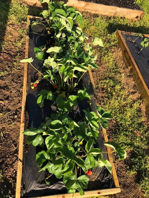 Twin Willows Farm Added A New Photo Twin Willows Farm