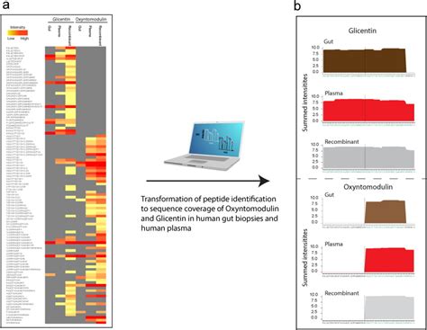 Proteomic Profiling Of Plasma From Gastric Bypass Operated Patients And