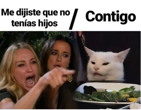 Me Dijiste Que El Origen Del Meme Del Gato Blanco Y De La Mujer