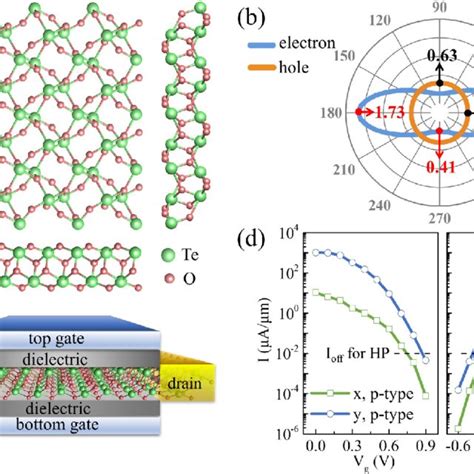 A Top And Two Side Views Of Monolayer β Teo2 Structure B Effective Download Scientific