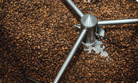 Rocket Bean Fulfil Your Taste