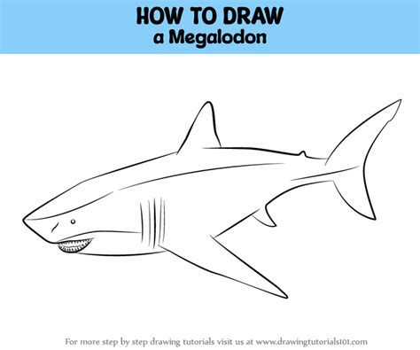How To Draw A Megalodon Shark Step By Step Dinosaur Megalodon Shark