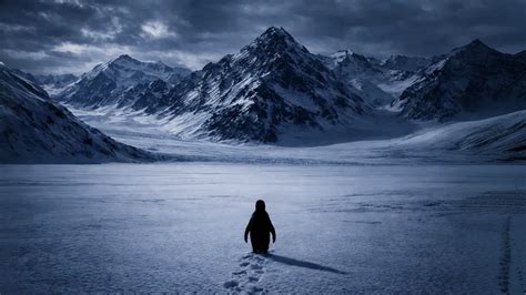 Solitary Penguin On The Snowy Summit — Hd Wallpaper 1920x1080