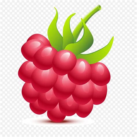 提子png图片素材下载图片编号qvvmeapm 免抠素材网