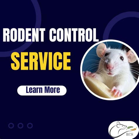 Rat Control In Bangalore Rodent Control Services In India