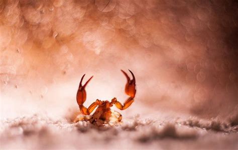 Фотография фотографа Iryna