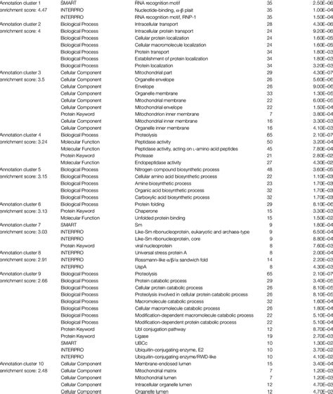 Ten Highest Functional Annotation Clusters For All Proteins Identified Download Table