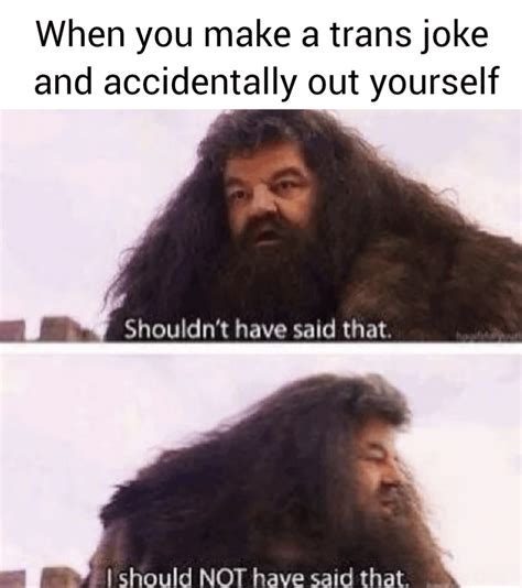 Trans Memes Rlgbtmemes