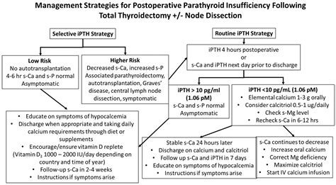 Etiology And Pathophysiology Of Hypoparathyroidism A Narrative Review