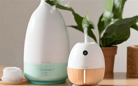 Whats The Difference Between Diffusers And Humidifiers