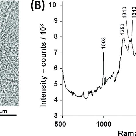 Structure Of A Chicken Egg At Day 35 Of Incubation A Schema Of The