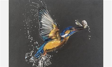 Jane Spencer Artist Details · Dorset Visual Arts