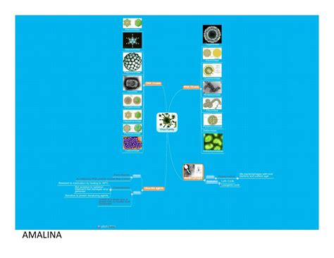 Virus Mind Map3 By Wanzuhainis Flipsnack