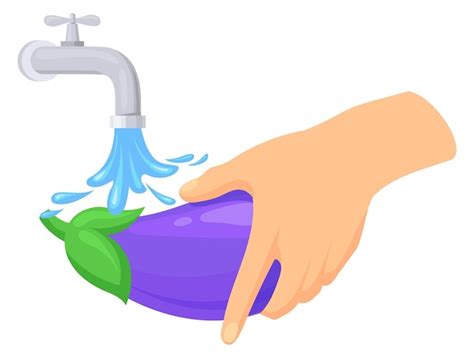 Premium Vector Washing Vegetable Under Running Water Clean Eggplant Icon
