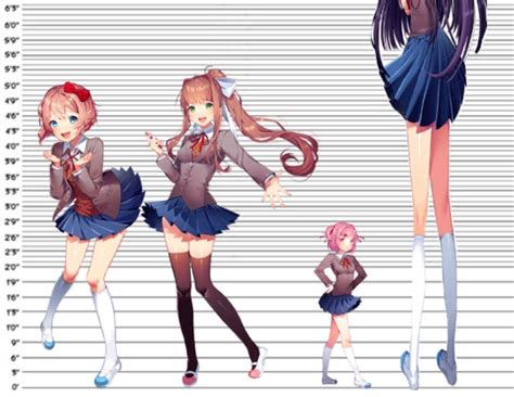 The Heights Of All The Characters Compared To Someone Being 510 R Ddlc