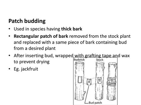 Propagationmethodspptx