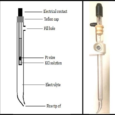 Working Electrode Reference Electrode The Reference Electrode Used