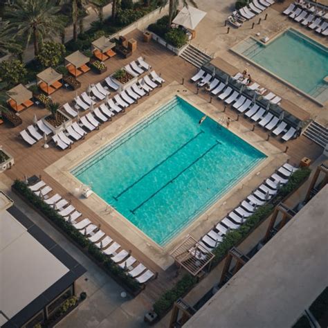 Dive In By Peter Mendelson Artwork Archive