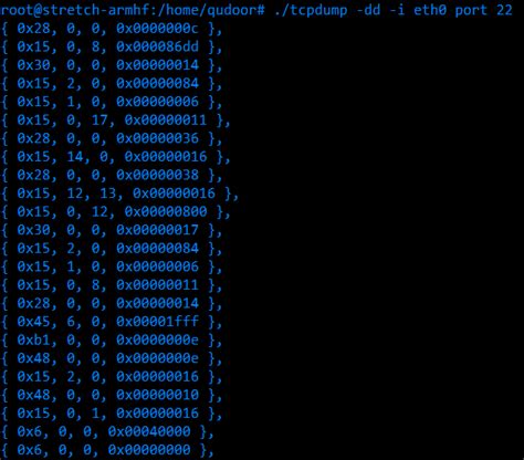 linux网络编程：原始套接字 包过滤器bpf tcpfump bpf code csdn博客
