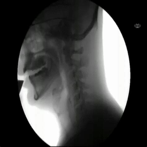 Swallowing гифки анимированные  изображения Swallowing скачать