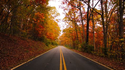 Blue Ridge Parkway Fall Colors Best Nc Scenic Drives For Fall Foliage