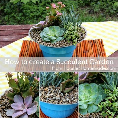 Succulent Garden Inspiration With Hoosier Homemade Succulent Garden