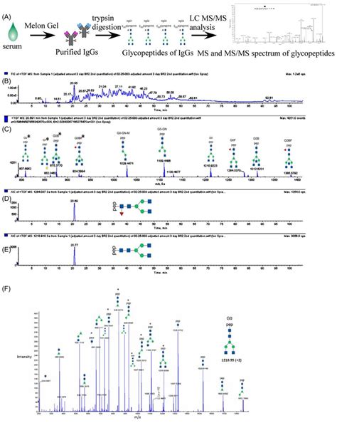 Use Mass Spectrometric Identification And Glycoform Profiling Of The
