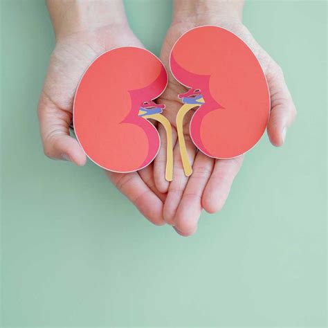 4 Koraka Za Prirodnu Detoksikaciju Bubrega Juicefast