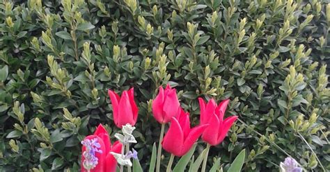 Vida Alta O Alheio Sofrimento