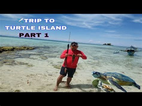 Most One Of The Beautiful Island In The Philippines Panikian Turtle