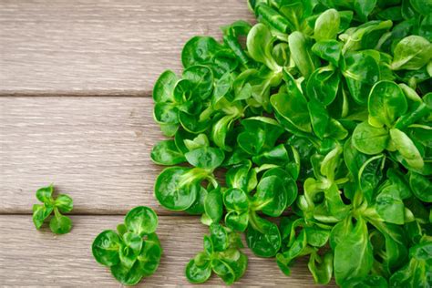 Tinnko 写真、画像、アセット Adobe Stock