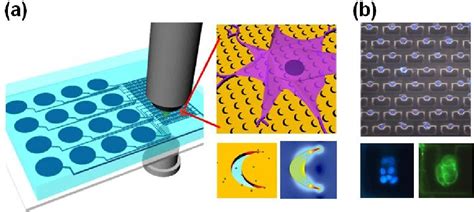 Figure 1 1 From Integrated Nanoplasmonic Optical Microfluidics For Label Free Bioassays