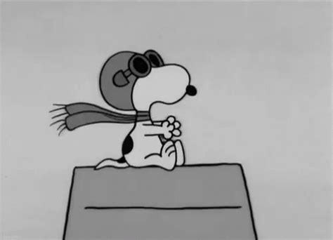 Snoopy Aviator Aviation  Snoopy Aviator Aviation Flying Discover