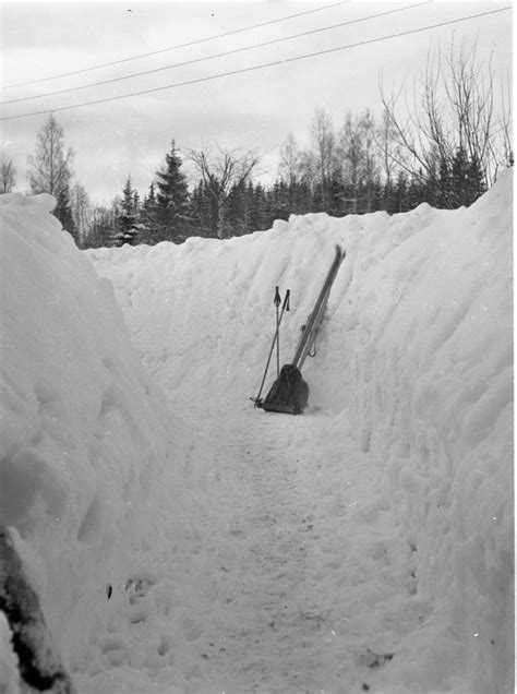 Ski Staver Og En Ryggsekk Stående På Vei Mellom Mannshøye Brøytekanter Akershusbasen