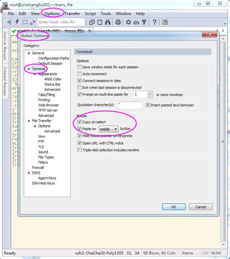 Securecrt右键复制设置securecrt右键粘贴的设置 Csdn博客