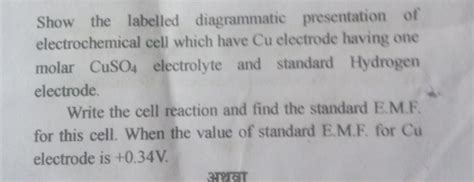 Show The Labelled Diagrammatic Presentation Of Electrochemical Cell