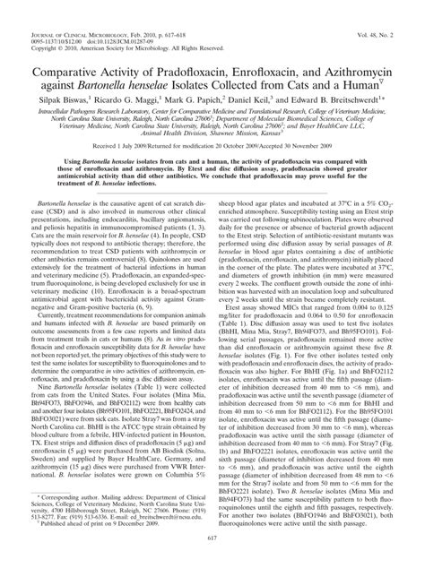 Pdf Comparative Activity Of Pradofloxacin Enrofloxacin And Azithromycin Against Bartonella