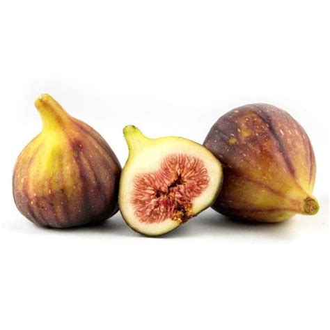Dates And Figs — Melissas Produce