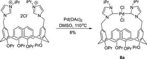 Synthesis And Solid State Structure Of The Palladium Complex 8a