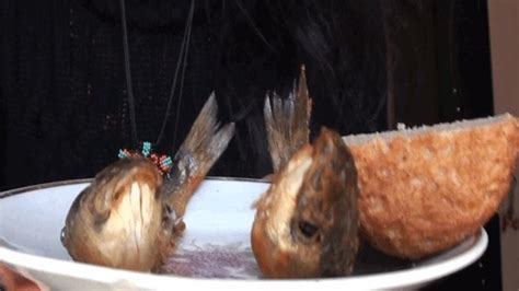 Eating Fish 720 Forgetmenot Clips4sale