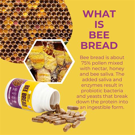 Natural Bee Bread Capsules Immune Support Energy Boost Probiotic