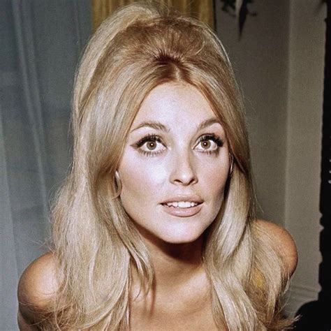 Pin By Dwjones On Sharon Tate Sharon Tate Vintage Hairstyles Pretty