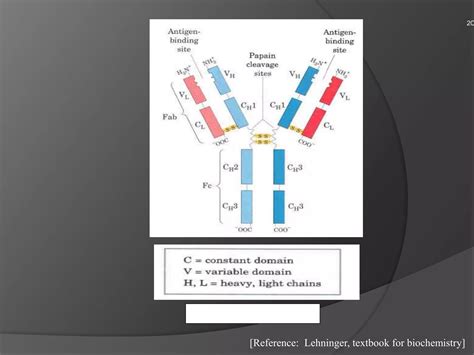 protein ligand interaction pptx