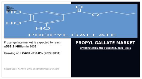 Propyl Gallate Market Size Share Industry Report 2031